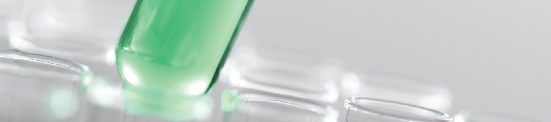 Thai OL PTT Global Public Company Limited,leader of resins,polymers ...